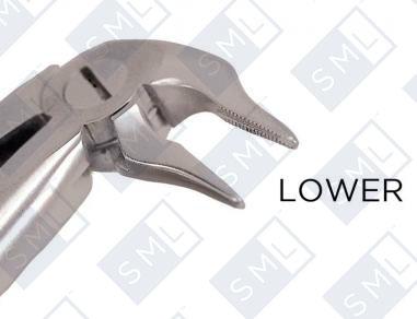 Root-Tip Extraction Forceps, Tooth Extraction Tools, Dental Forceps ...